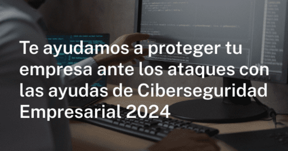 Ayudas de Ciberseguridad Empresarial 2024 | Irontec - Consultoría tecnológica